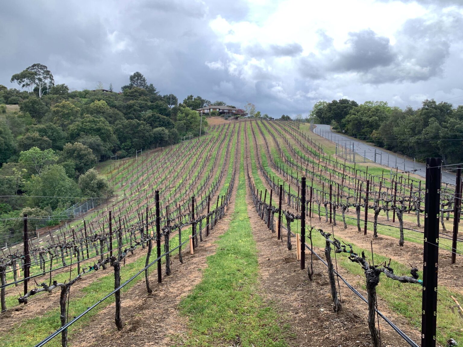COASTAL RANGE VINEYARDS – Vineyard Installation & Management